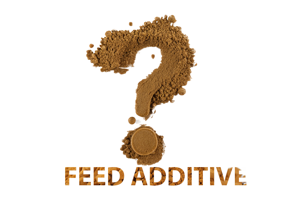 The Importance of Feed Additives